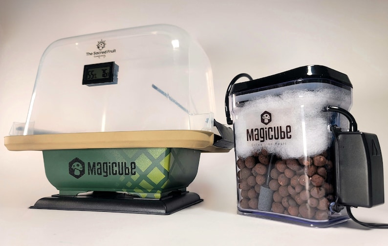 Magicube Pro Mushroom Automated Fruiting Chamber Dub Tub Grow Kit Monotub Etsy