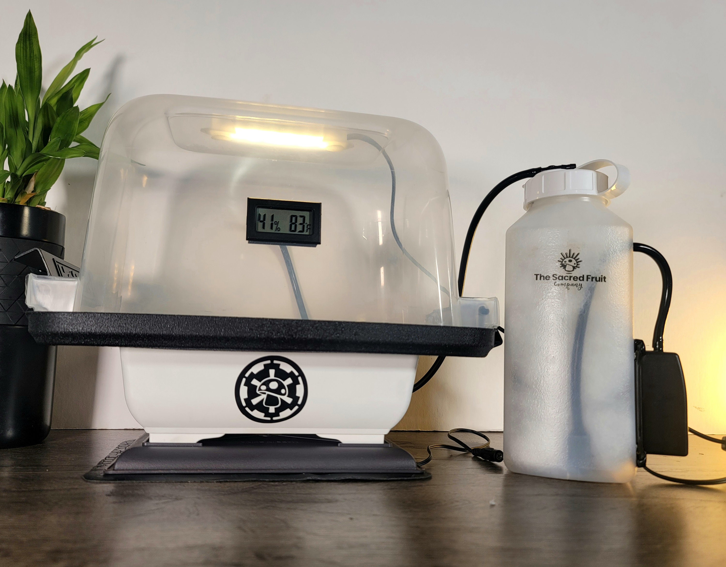 Magicube Grow Kit Automated Mushroom Fruiting Chamber Dub Tub ...