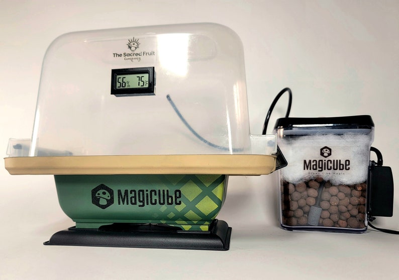 Magicube Pro Mushroom Automated Fruiting Chamber Dub Tub Grow Kit ...