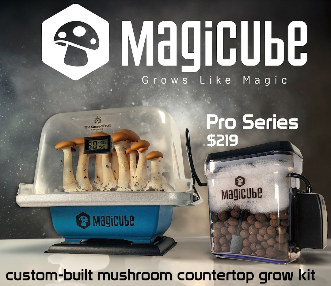 Magicube Pro Mushroom Grow Kit Automated Fruiting Chamber Dub Tub ...