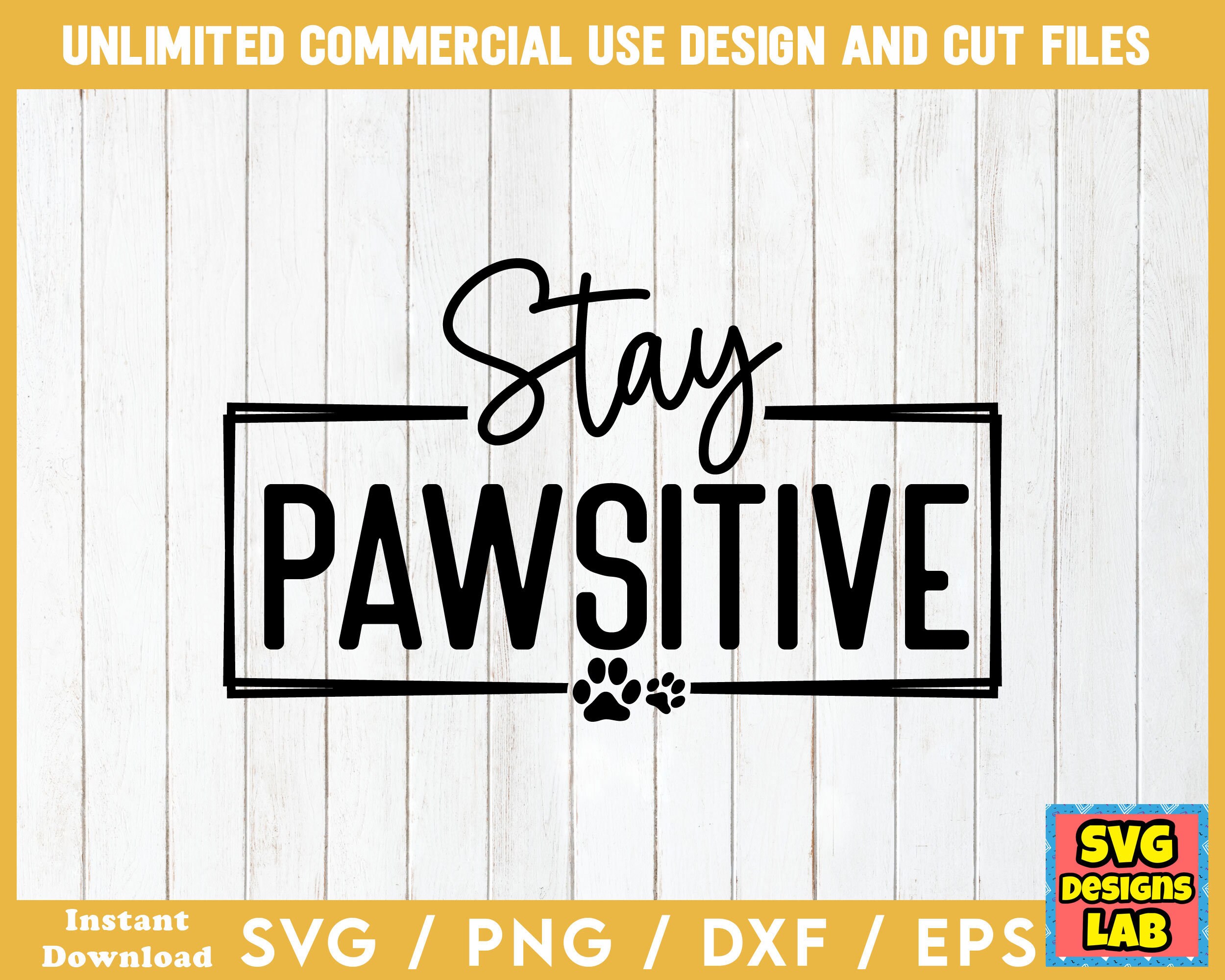 Stay Pawsitive Cat SVG, Cat Svg Files, Cat SVG Bundle, Cat Quotes Svg ...