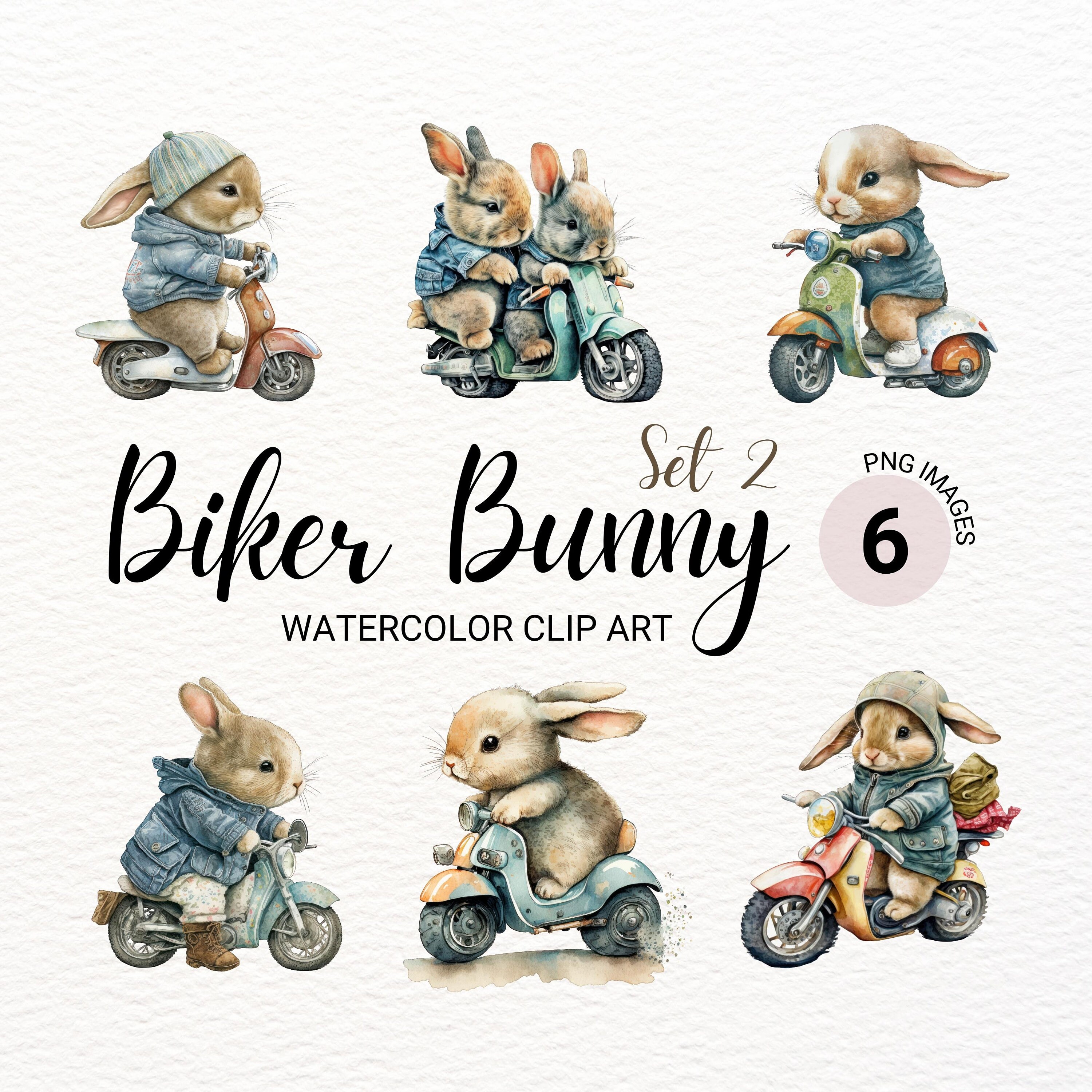 Biker Bunny Clipart Easter Bunny PNG Cute Baby Animals - Etsy Australia