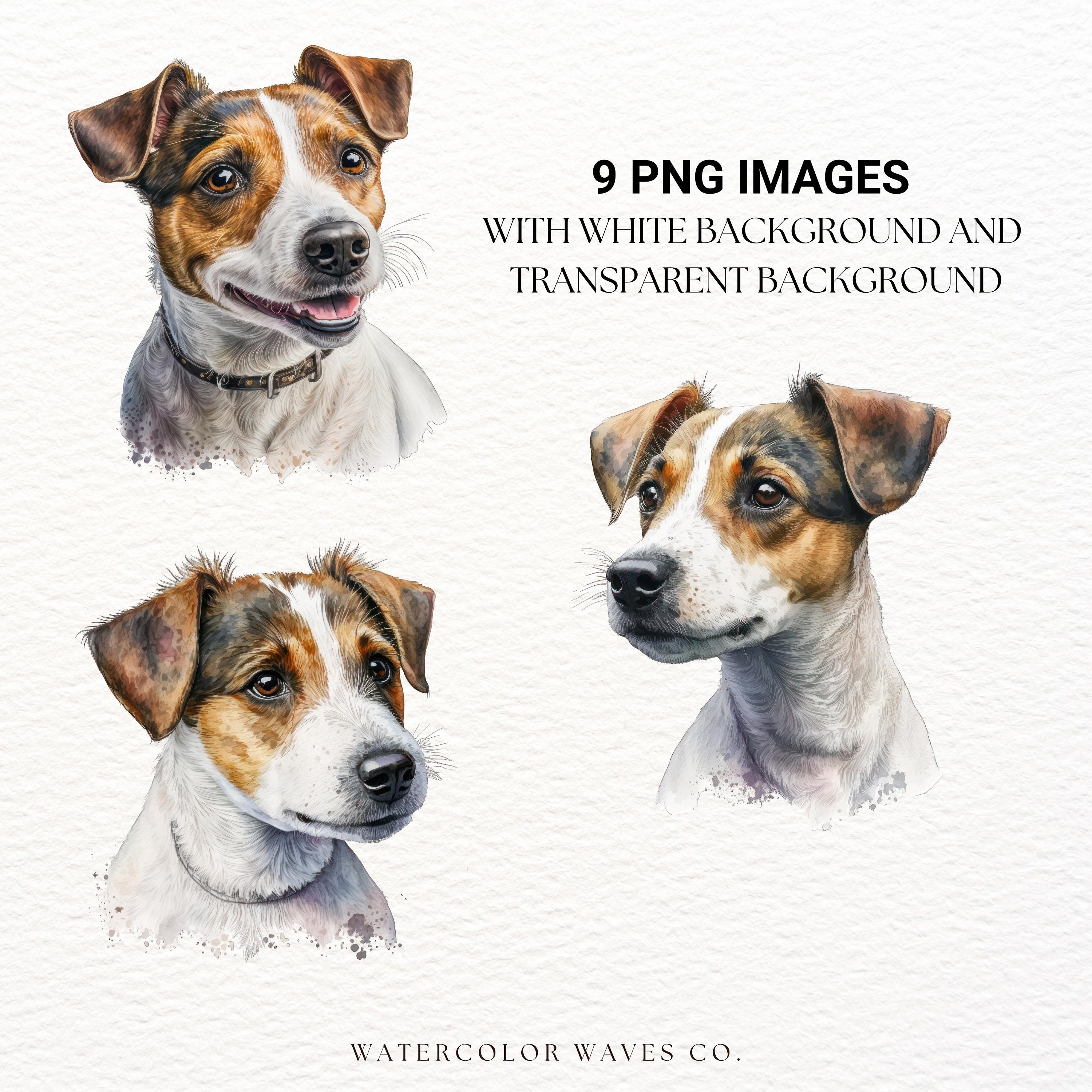 Jack Russell Clipart | Dog PNG | Watercolor Dog Clipart | Jack Russell ...