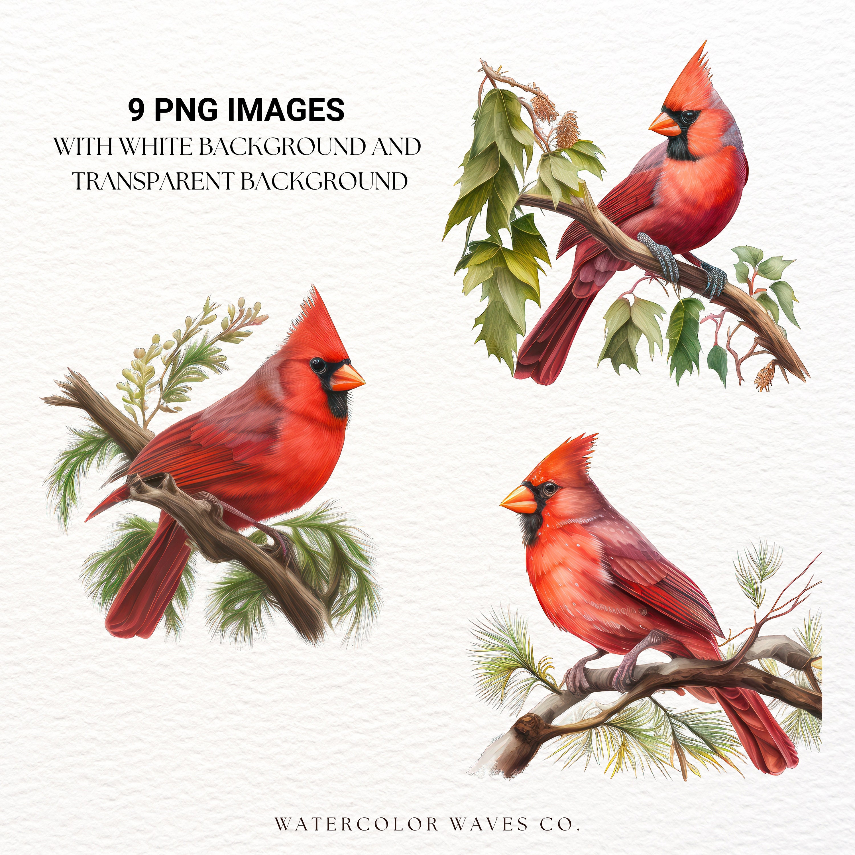 Red Cardinal PNG Red Cardinal Bird Cardinal Clipart - Etsy Canada