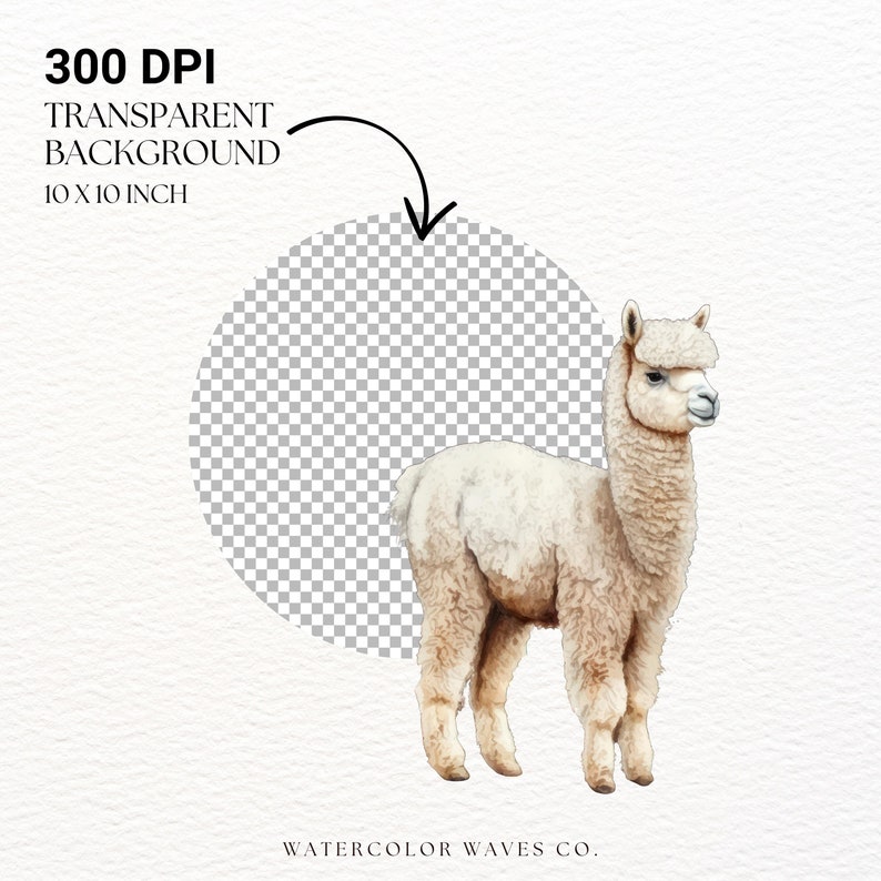 Watercolor Alpaca Clipart | Farm Animals PNG | Nursery Wall Art | Baby ...