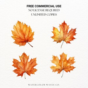 Autumn Leaves Clipart | Fall Leaf PNG | Watercolor Floral PNG | Digital ...