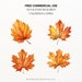 Autumn Leaves Clipart Fall Leaf PNG Watercolor Floral PNG Digital ...