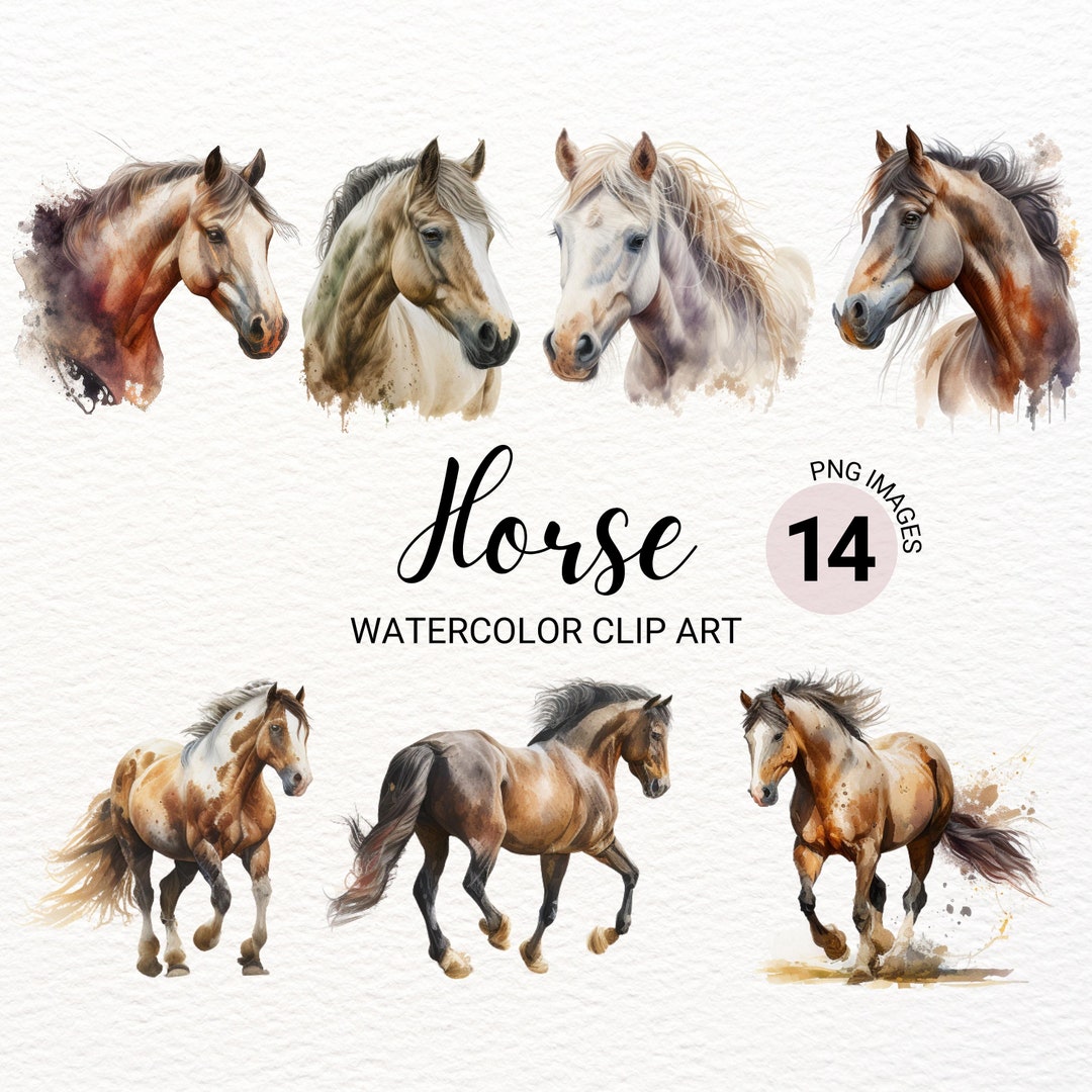 Horse PNG | Horse Clipart Set | Watercolor Horse Sublimation Designs ...