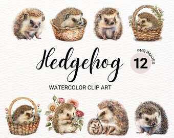 Cute Hedgehog Clipart | Watercolor Hedgehog PNG | Nursery Wall Art ...