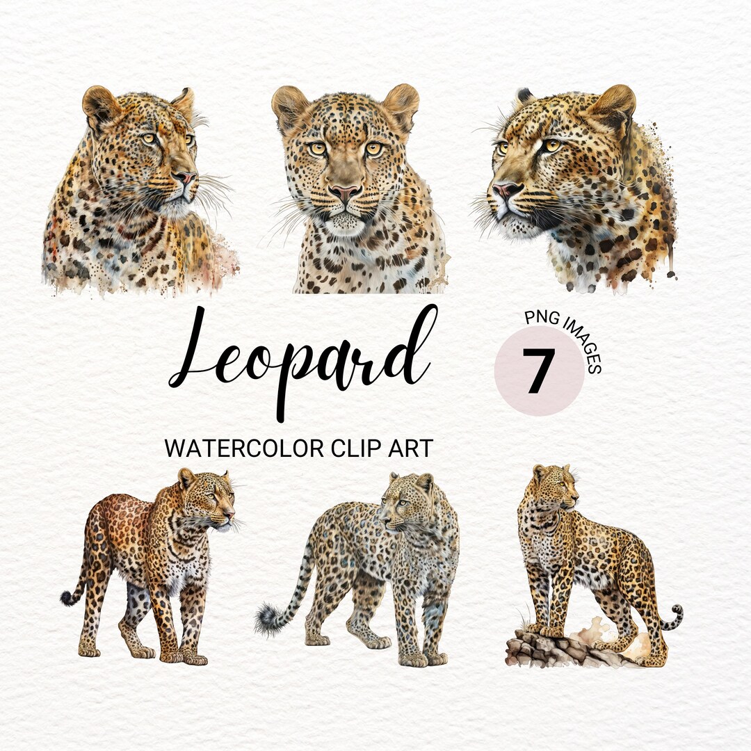 Leopard Clipart | Watercolor Leopard PNG | Safari Animals Clipart Bundle | Junk Journal ...