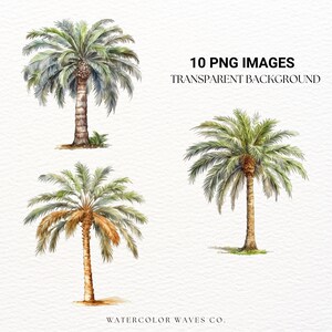 Palm Tree Clipart | Watercolor Tropical Tree PNG | Junk Journal ...