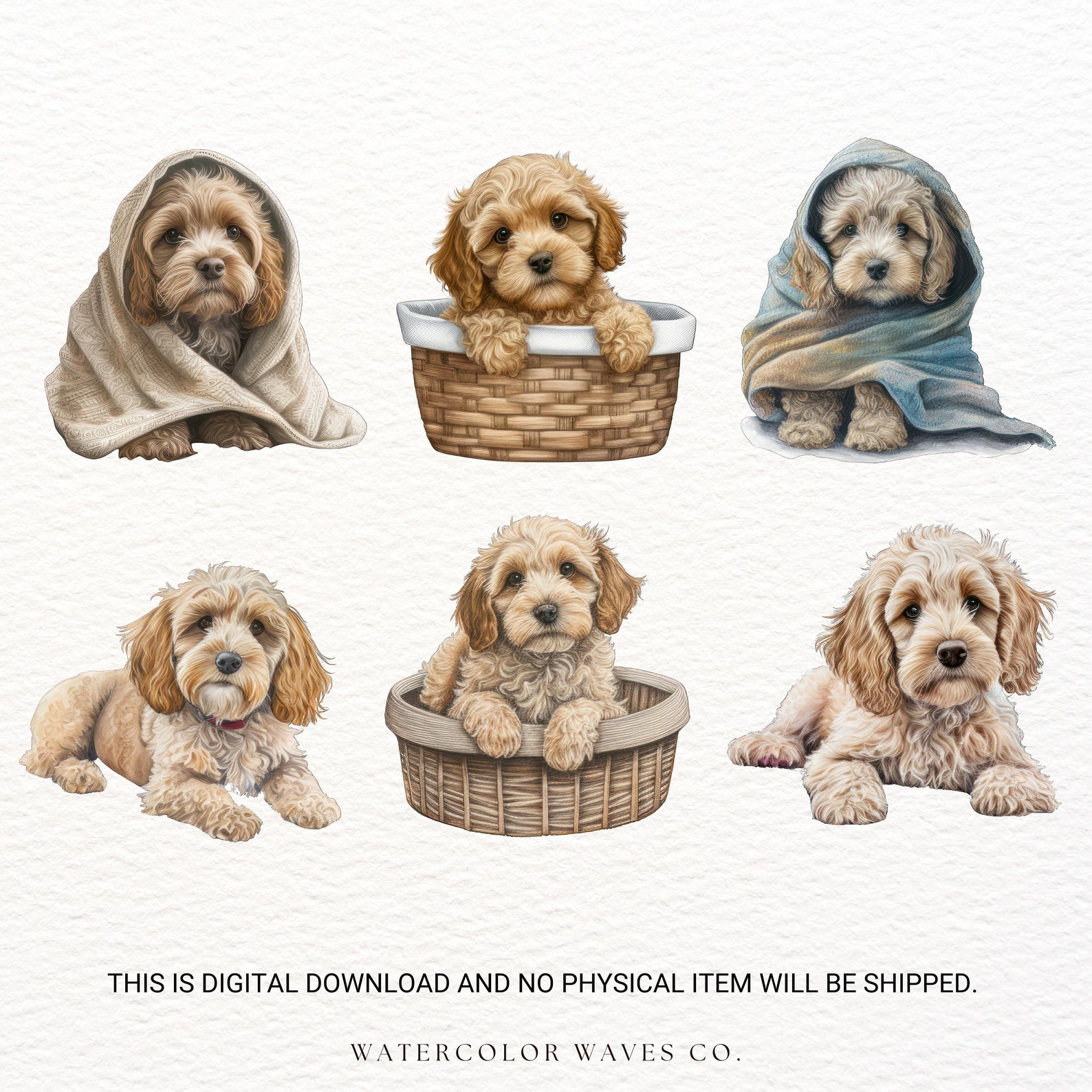 Cockapoo Clipart | Cute Dog Clipart | Dog PNG | Watercolor Cockapoo PNG ...