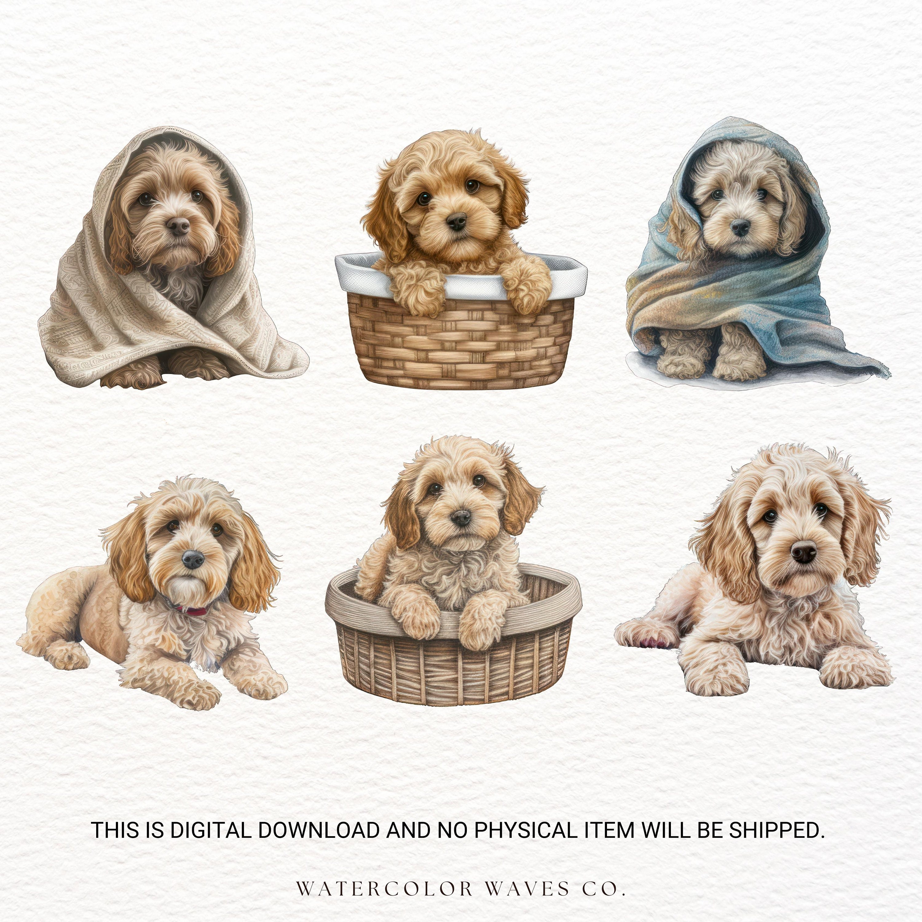 Cockapoo Clipart Cute Dog Clipart Dog PNG Watercolor - Etsy Canada
