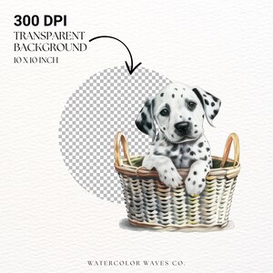 Dalmatian Clipart | Dog PNG | Cute Dog Clipart | Nursery Clipart | Dog ...