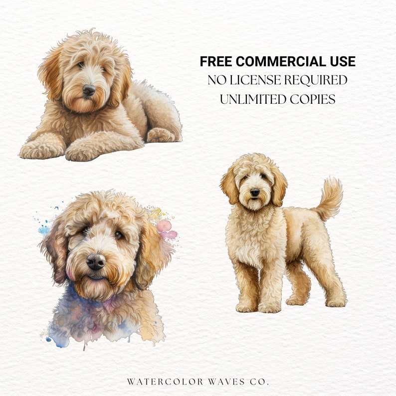 Goldendoodle Clipart | Dog PNG | Golden Doodle PNG | Cute Dog Clipart ...