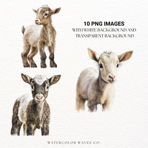 Baby Goat Clipart | Farm Animals PNG | Baby Animals | Watercolor Goat ...