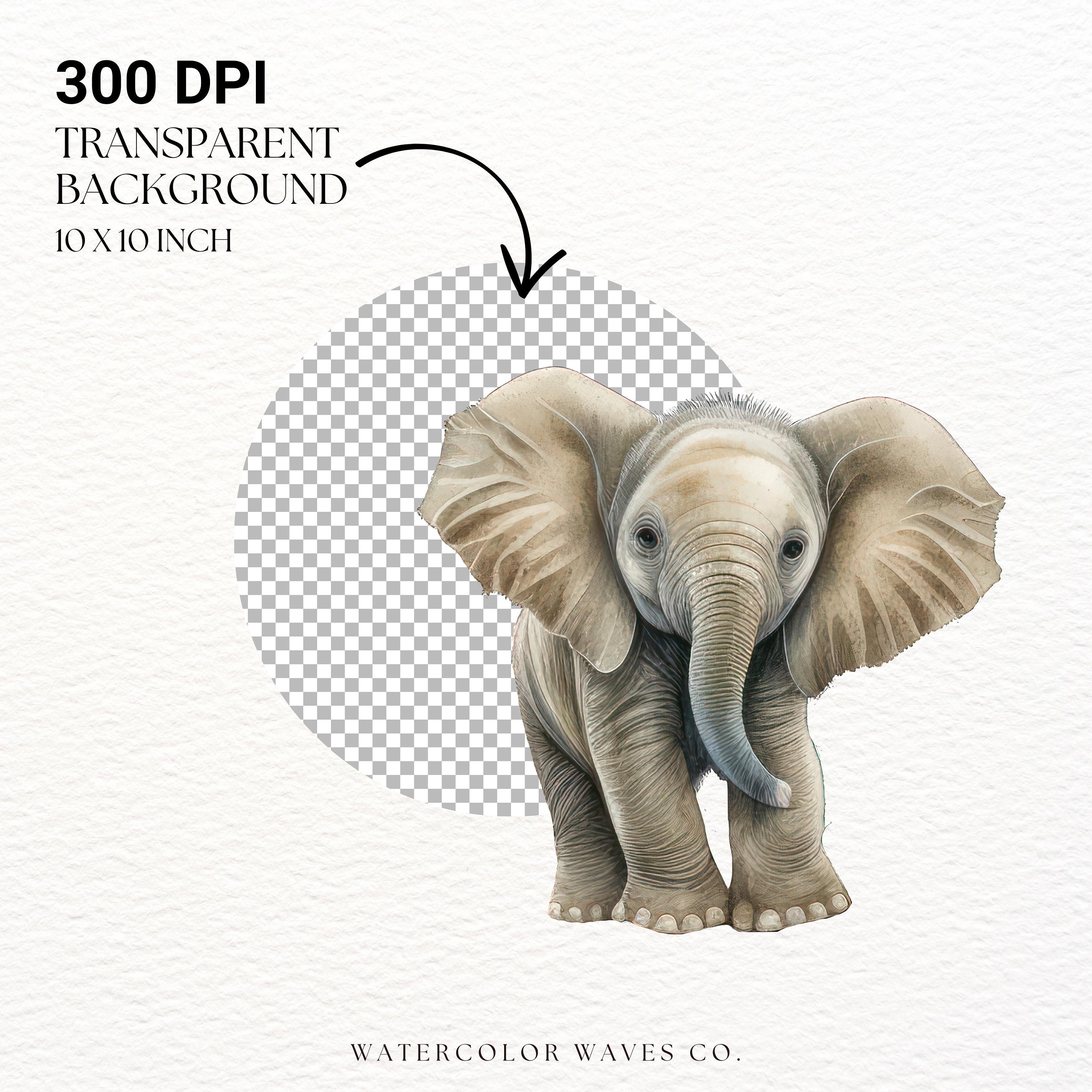 Baby Elephant PNG Baby Animals Clipart Watercolor Elephant - Etsy