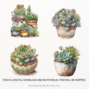 Watercolor Succulent PNG | Succulent Clipart Bundle | Floral PNG ...