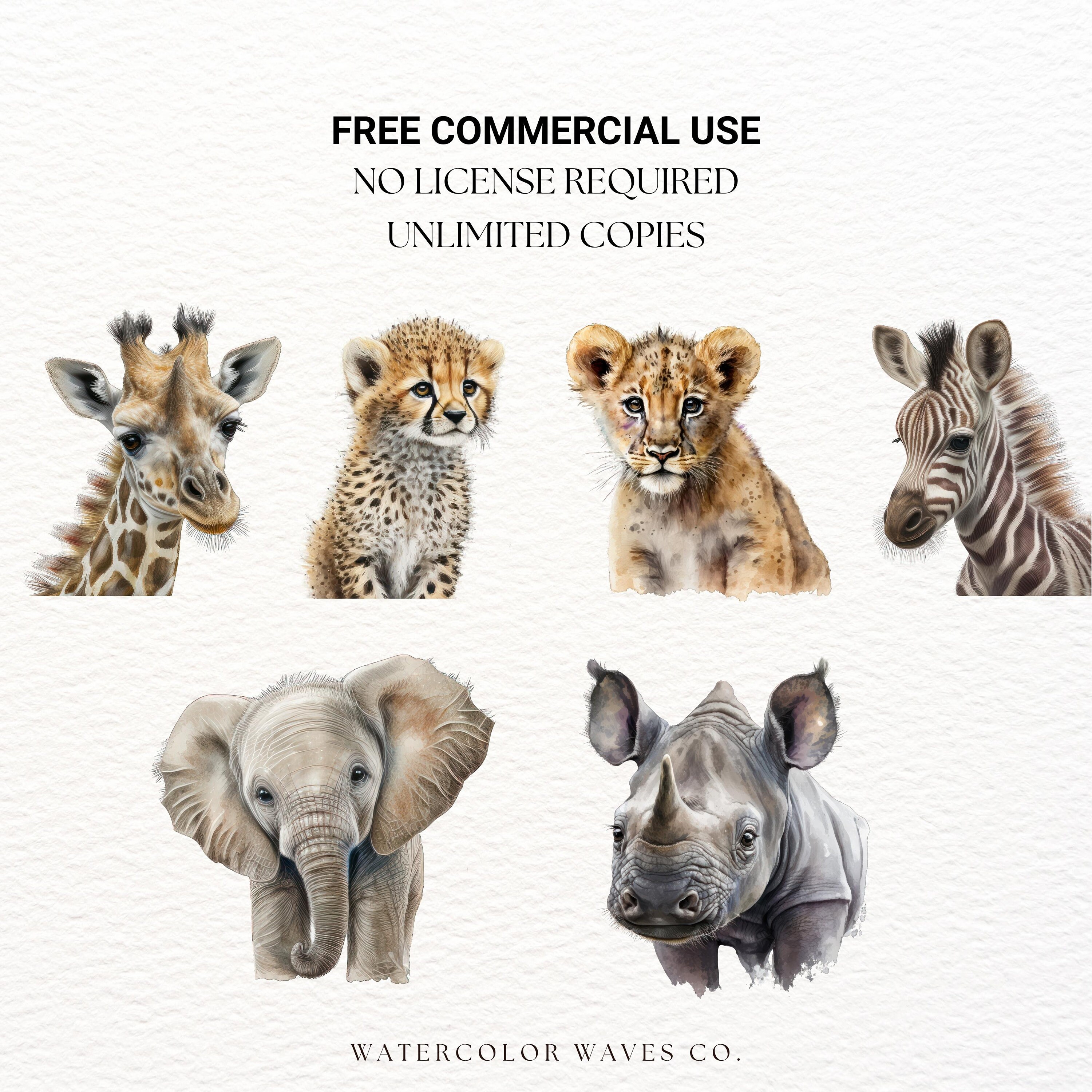 Watercolor Baby Safari Animals PNG Baby Animals Clipart - Etsy Australia