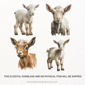 Baby Goat Clipart | Farm Animals PNG | Baby Animals | Watercolor Goat ...