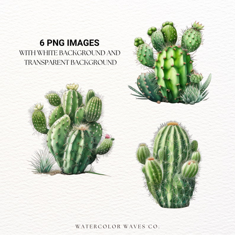 Cactus Print Cute Cactus Clipart Watercolor Cactus PNG - Etsy
