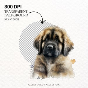Leonberger Clipart | Dog PNG | Watercolor Dog Portrait | Cute Dog ...