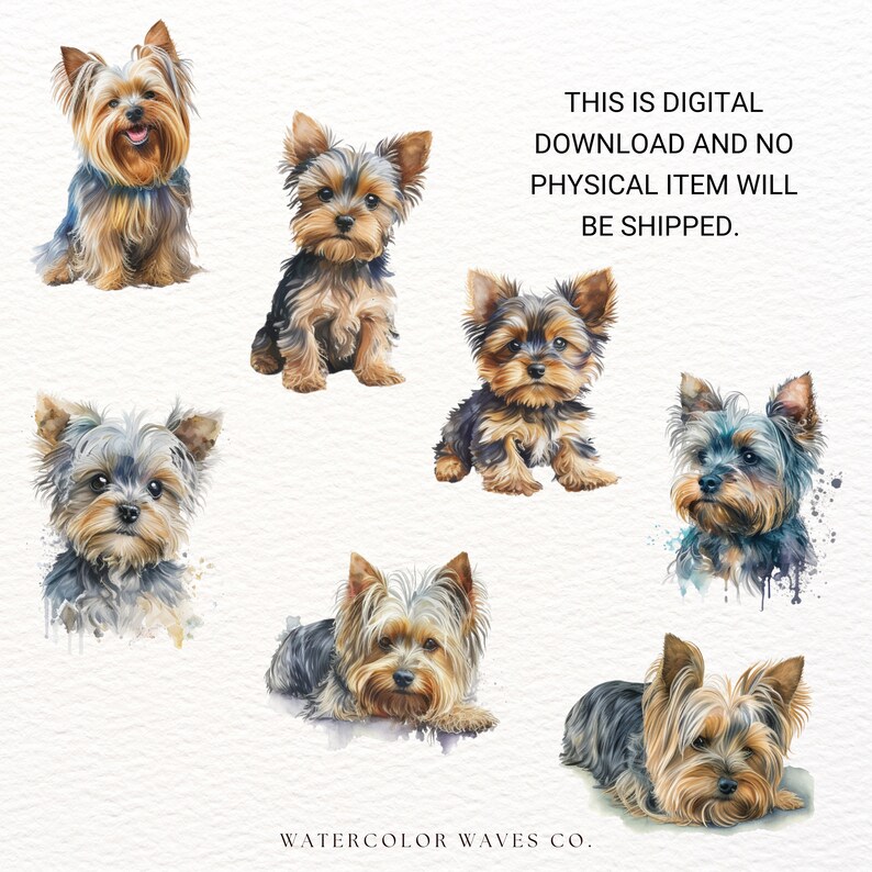 Puppy Yorkshire Terrier Clipart Watercolor Yorkie PNG Cute - Etsy