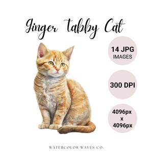 Ginger Tabby Cat Clipart | Watercolor Tabby Cat Clipart Bundle | Cute ...
