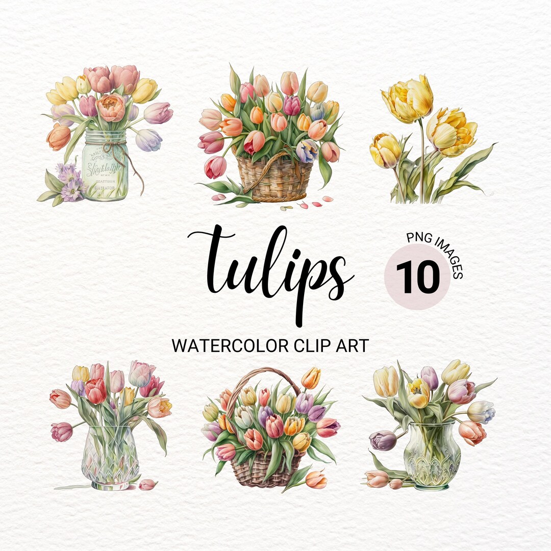 Tulip Clipart | Watercolor Tulip PNG | Floral PNG | Summer Clipart ...