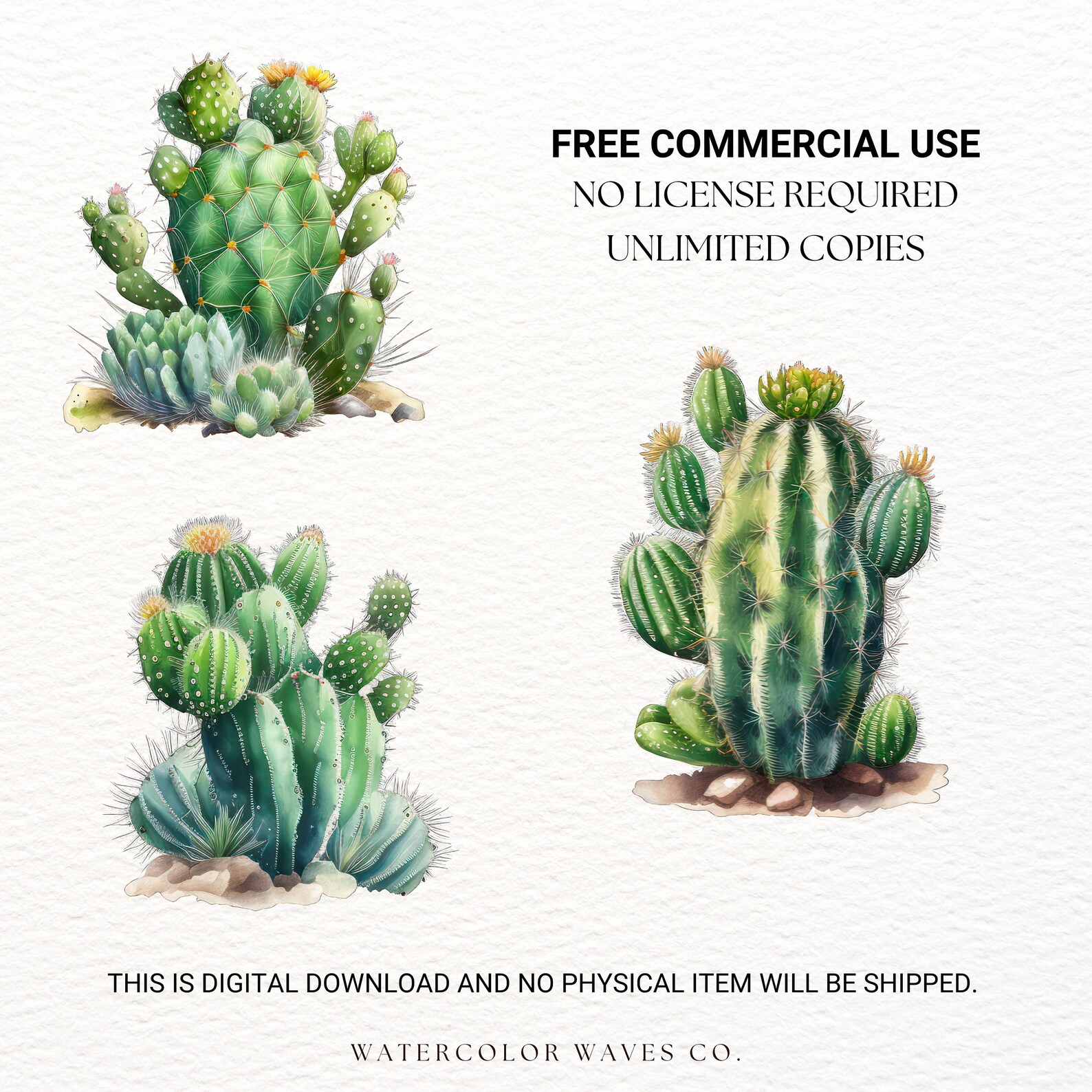 Cactus Print Cute Cactus Clipart Watercolor Cactus PNG Western Clipart ...