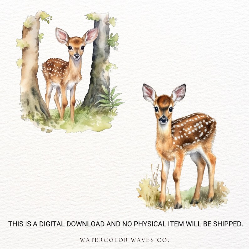 Watercolor Fawn Clipart | Deer PNG | Woodland Animals | Forest Baby ...
