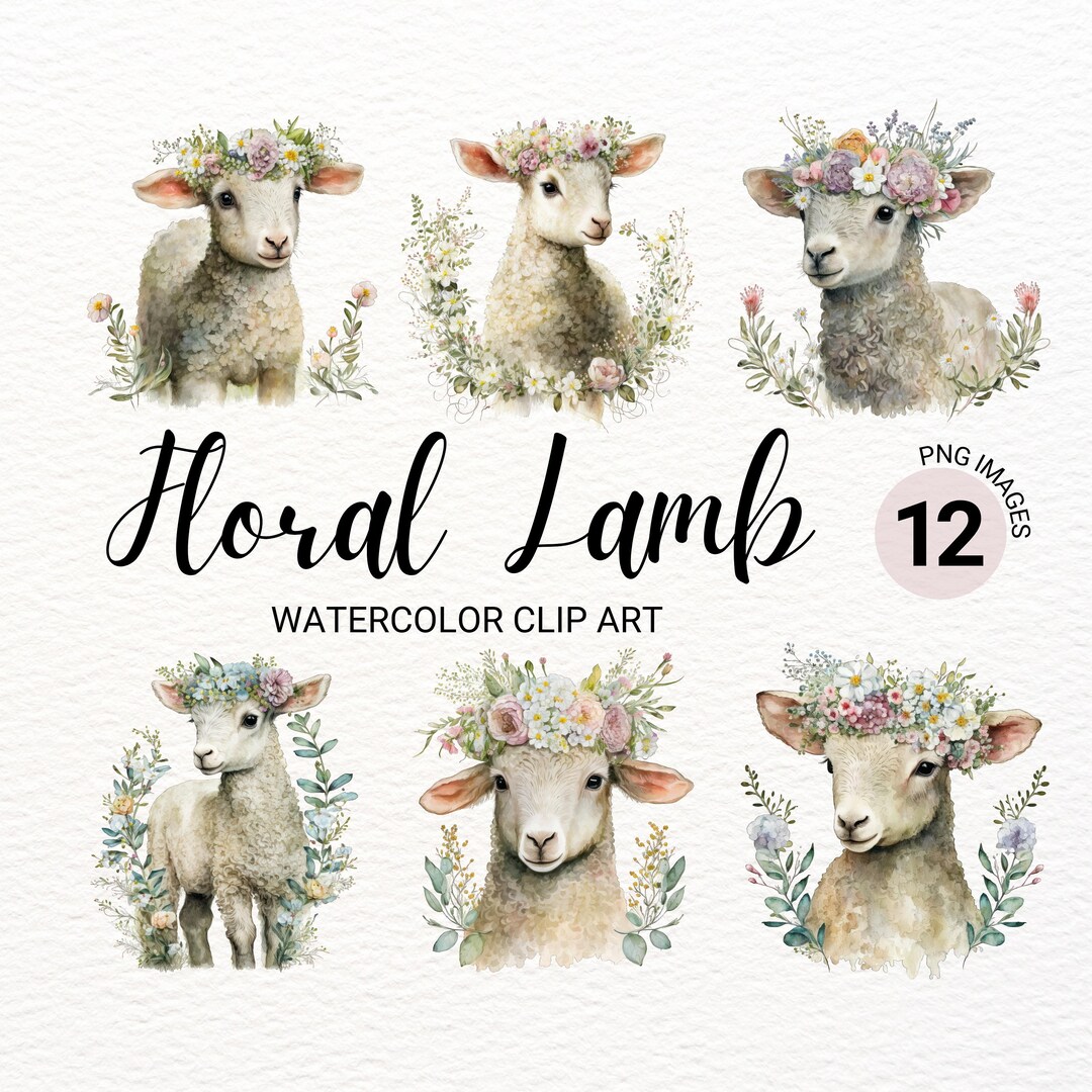 Floral Baby Lamb Clipart | Floral Spring Lamb PNG | Baby Animals ...