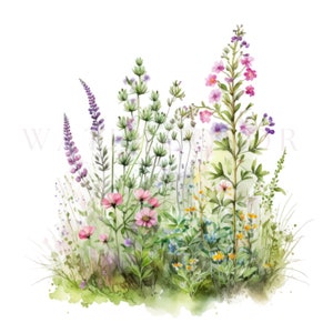 Wildflower Meadow Clipart Bundle | Watercolor Spring Flowers JPG ...