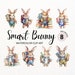 Smart Bunny Clipart Easter Bunny PNG Cute Baby Animals - Etsy