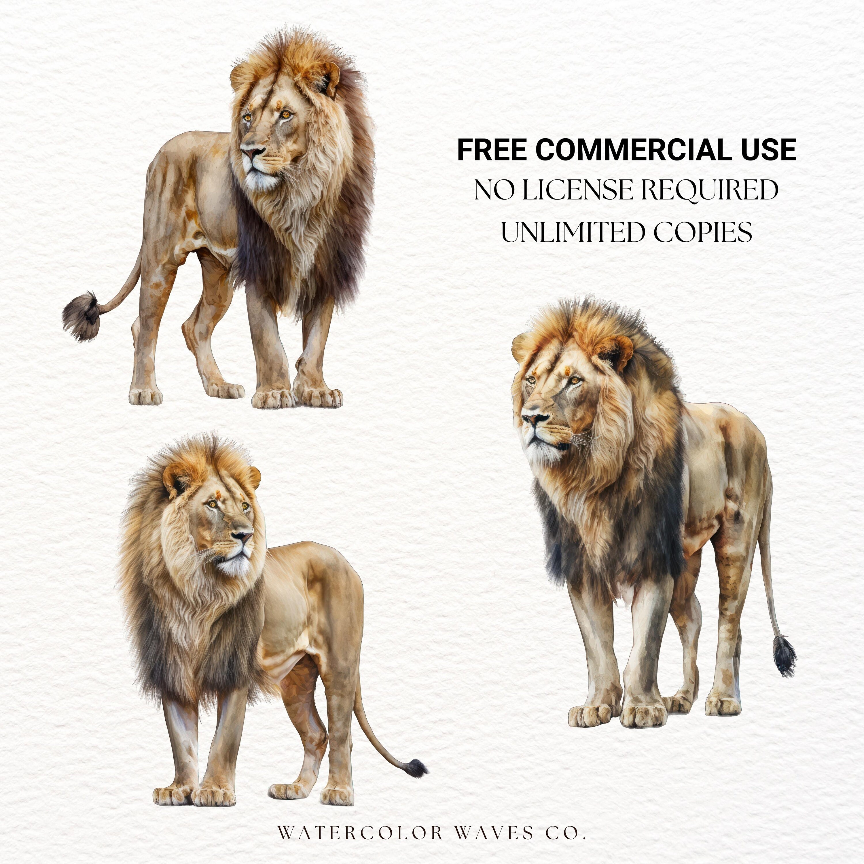 Lion Clipart | Watercolor Lion PNG | Safari Animals Clipart Bundle ...