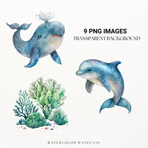 Baby Sea Animals Clipart | Watercolor Ocean PNG | Kawaii Summer Beach ...