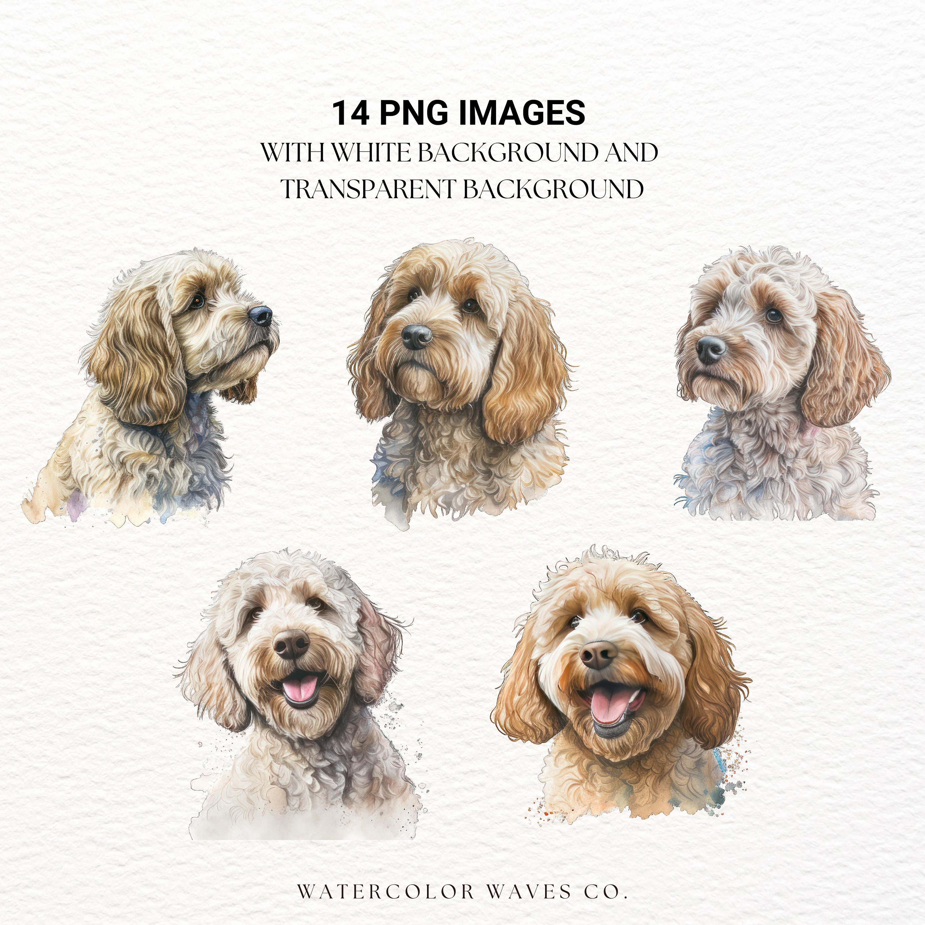 Cockapoo Clipart Cute Dog Clipart Dog PNG Watercolor - Etsy UK