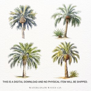 Palm Tree Clipart | Watercolor Tropical Tree PNG | Junk Journal ...