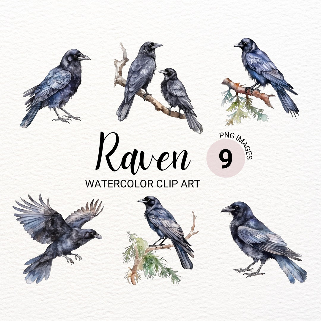 Raven Clipart | Watercolor Bird PNG | Junk Journal | Digital Planner ...