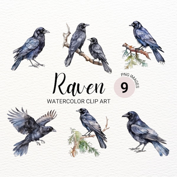 Raven Watercolor - Etsy