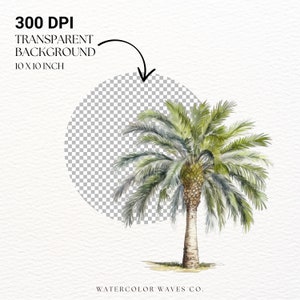 Palm Tree Clipart | Watercolor Tropical Tree PNG | Junk Journal ...