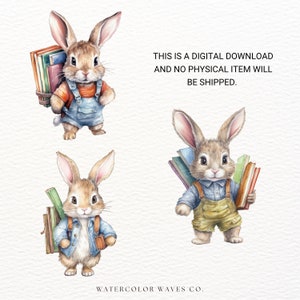 Smart Bunny Clipart | Easter Bunny PNG | Cute Baby Animals | Nursery ...