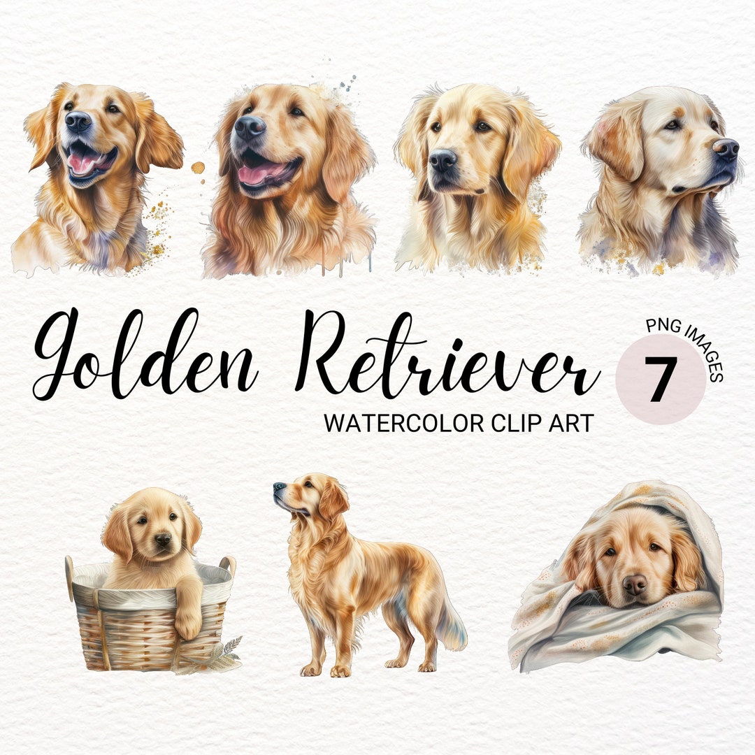 Golden Retriever Puppies Clipart | Golden Retriever PNG | Cute Dog ...