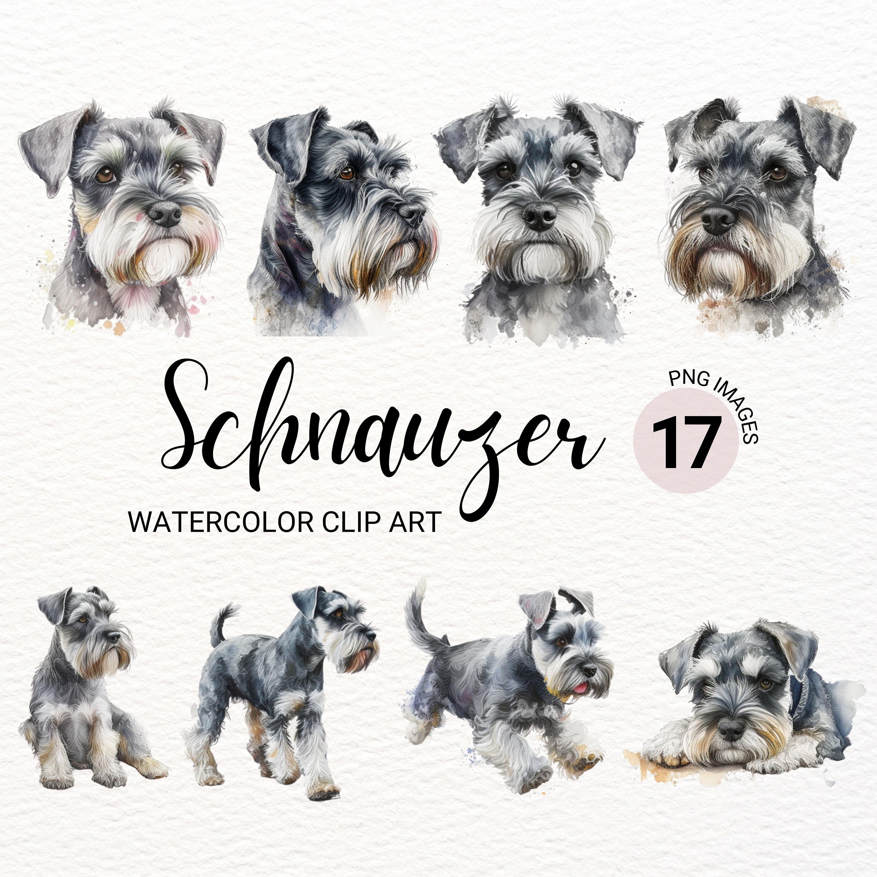 Schnauzer Dog Clipart Terrier