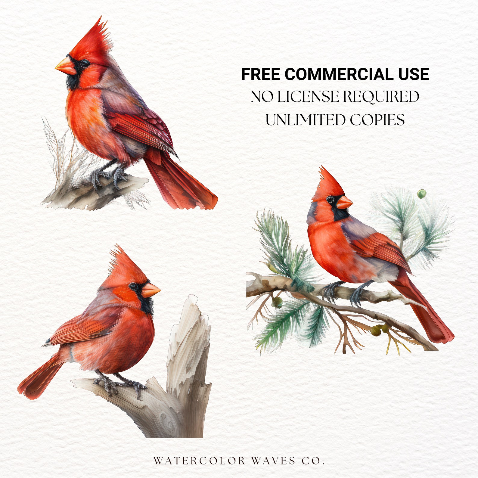Red Cardinal PNG Red Cardinal Bird Cardinal Clipart - Etsy Canada