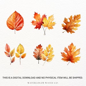 Autumn Leaves Clipart | Fall Leaf PNG | Watercolor Floral PNG | Digital ...