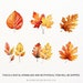 Autumn Leaves Clipart Fall Leaf PNG Watercolor Floral PNG Digital ...