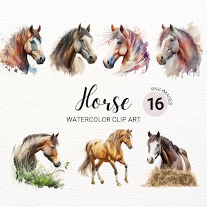 Horse PNG Horse Clipart Set Watercolor Horse Western Clipart Farm ...