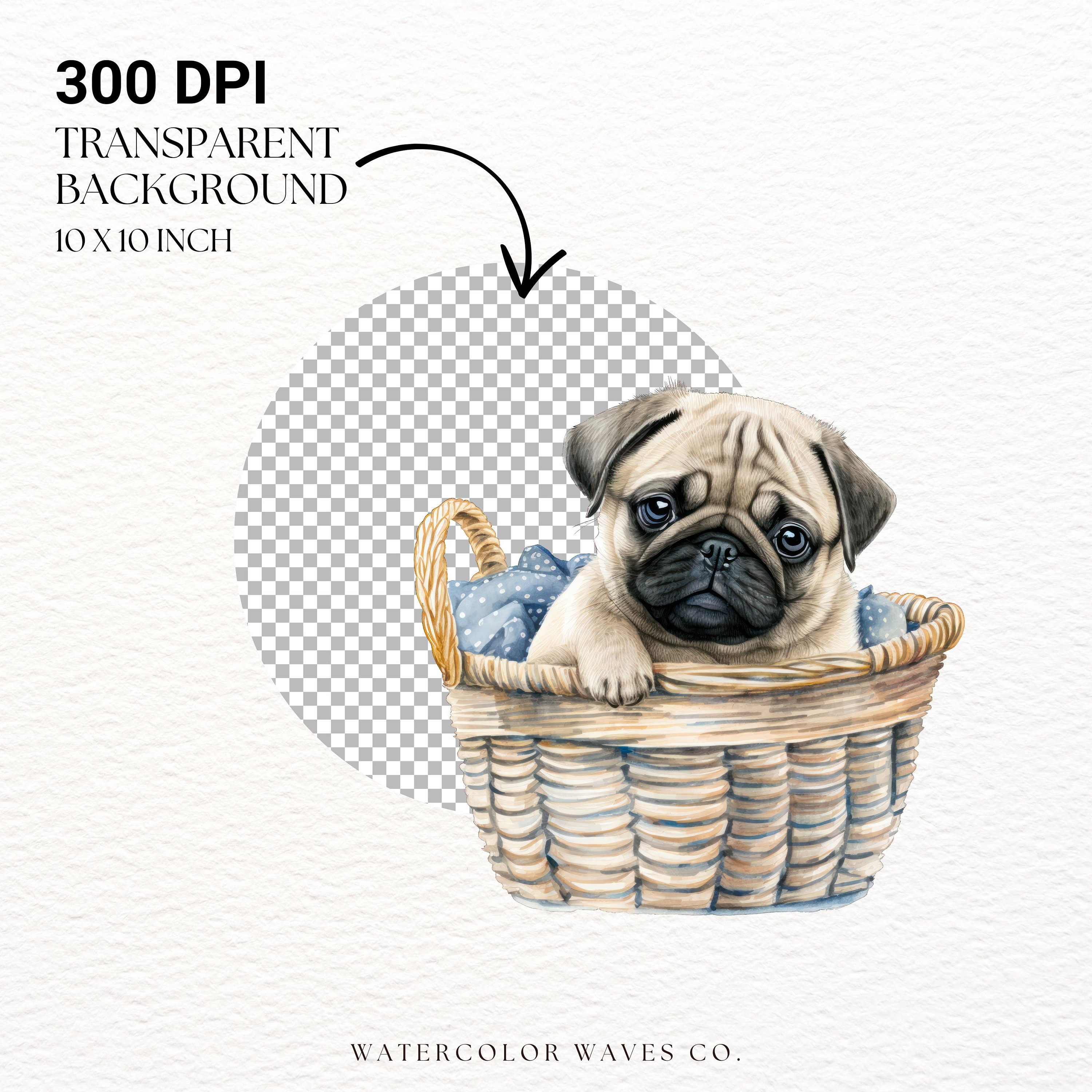 Pug Clipart Dog PNG Pug Puppy Clipart Cute Dog Clipart - Etsy