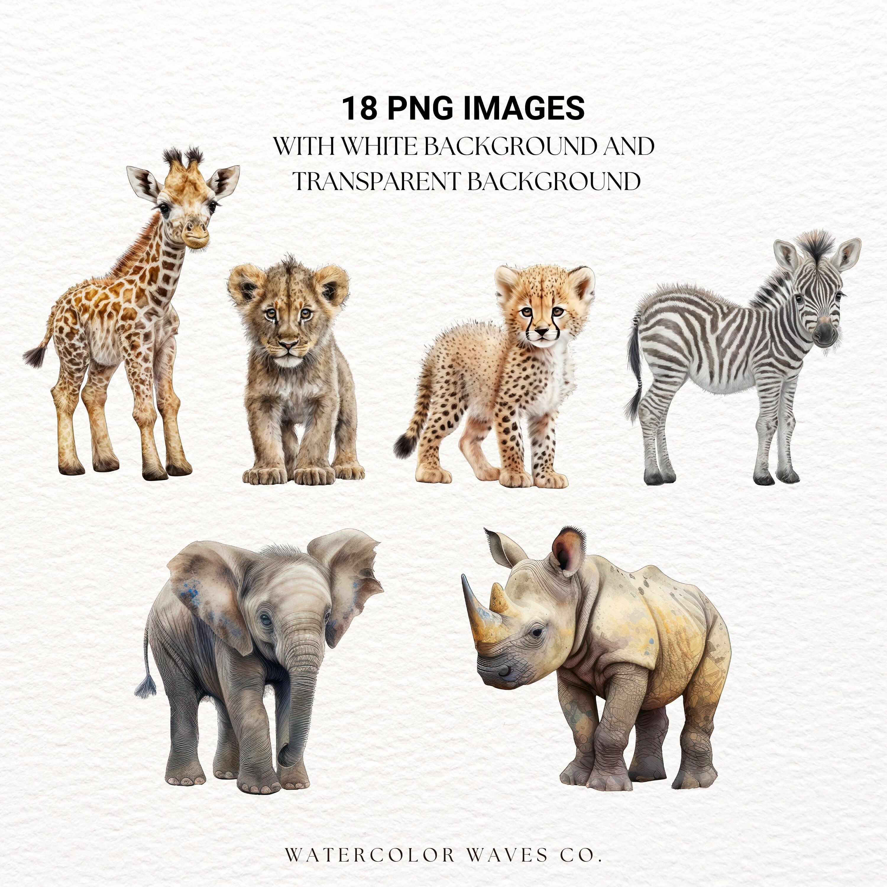 Watercolor Baby Safari Animals PNG Baby Animals Clipart - Etsy Australia